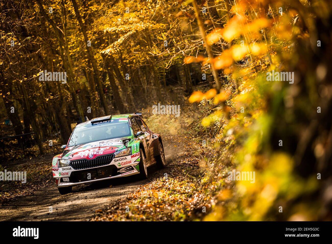Mrf rally team hi-res stock photography and images - Alamy