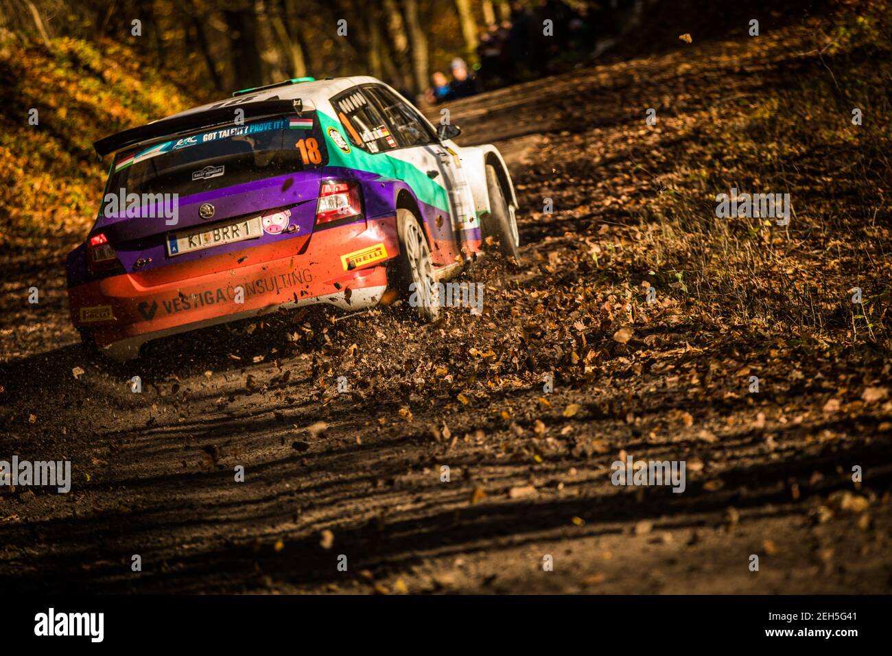 18 VON THURN UND TAXIS Albert (DEU), ETTEL Bernhard (AUT), Team BRR ...