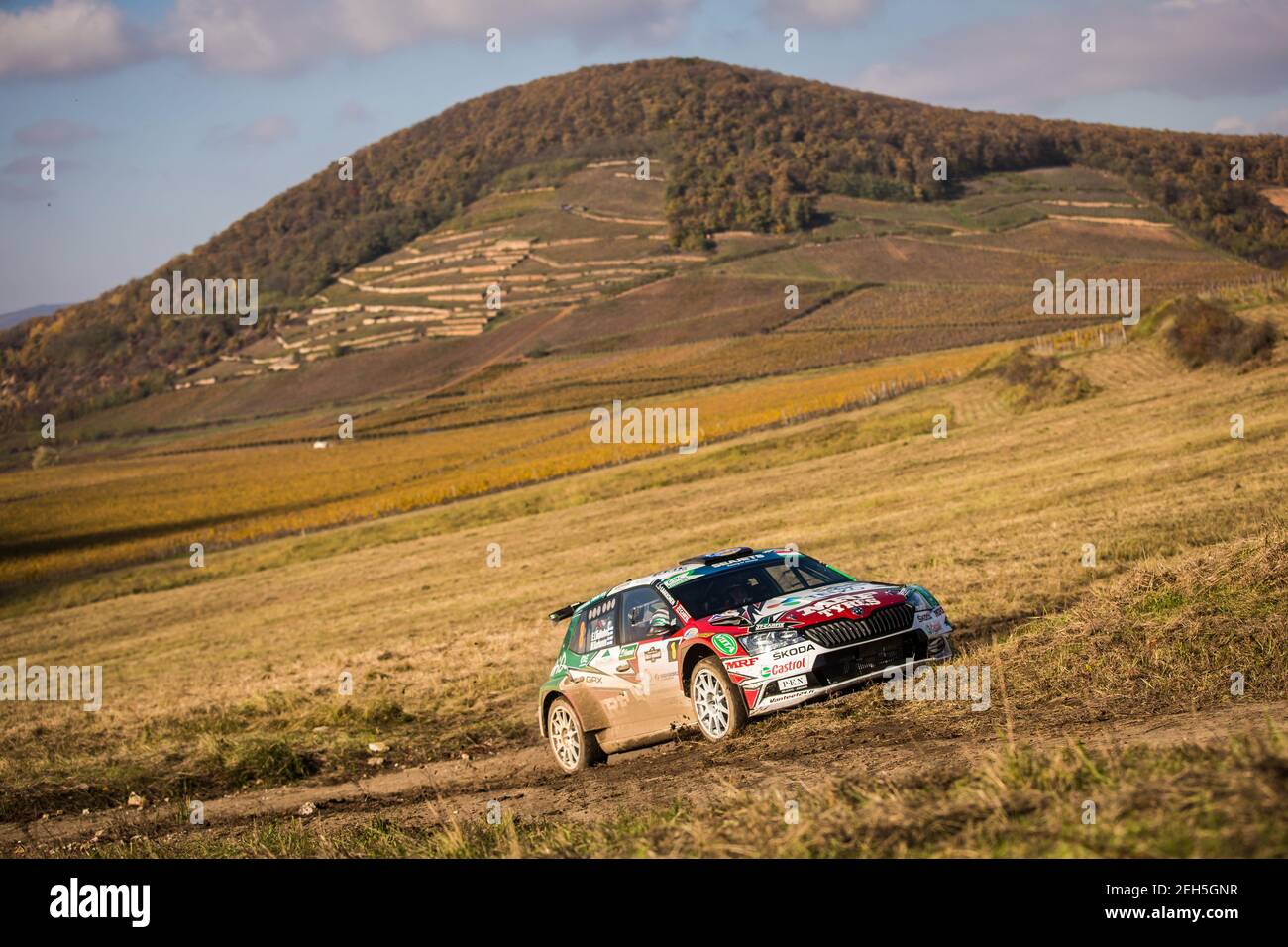 Mrf rally team hi-res stock photography and images - Alamy