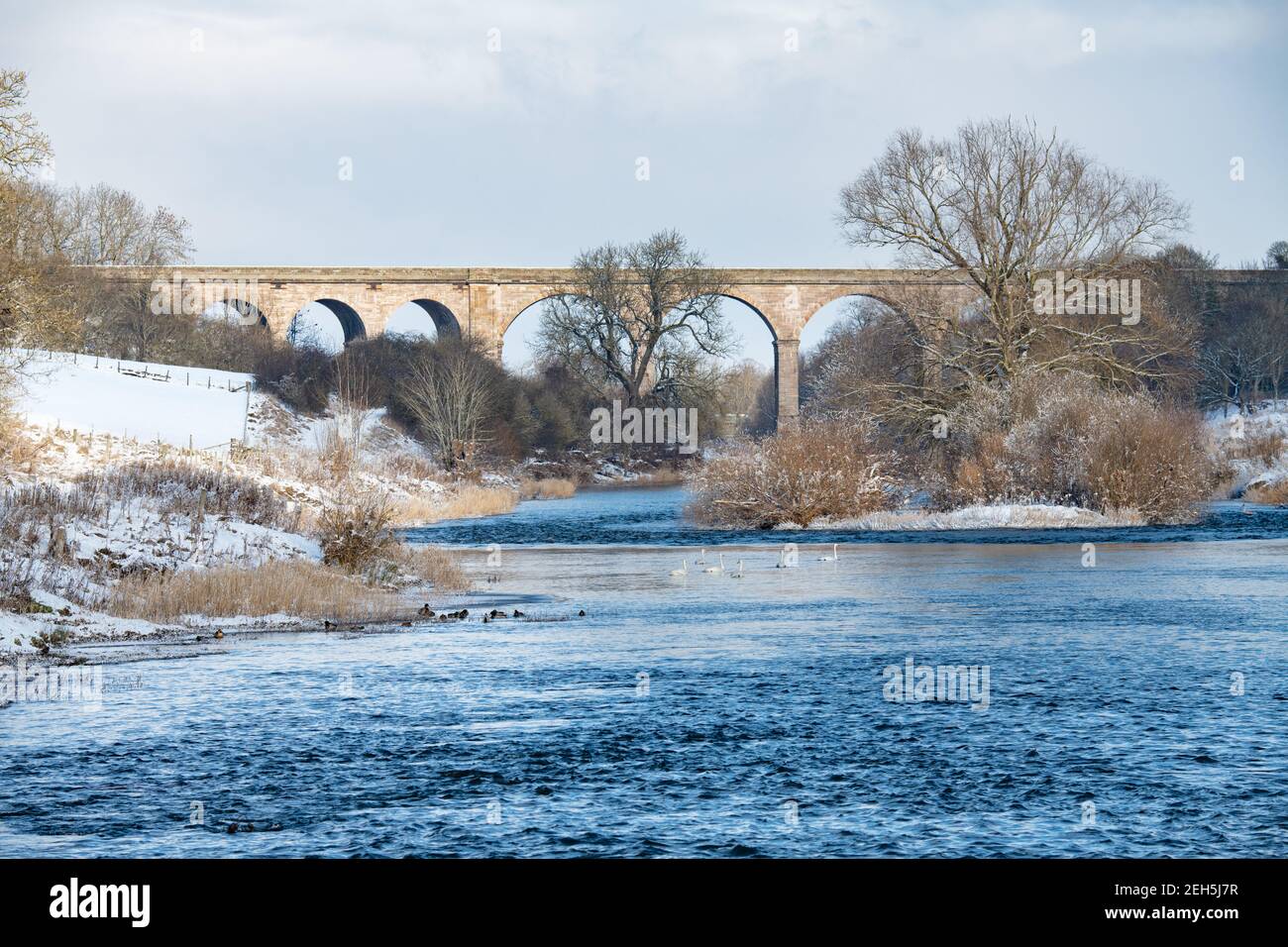 Roxburgh Viaduct over the Teviot River in winter snow, Scottish Borders ...