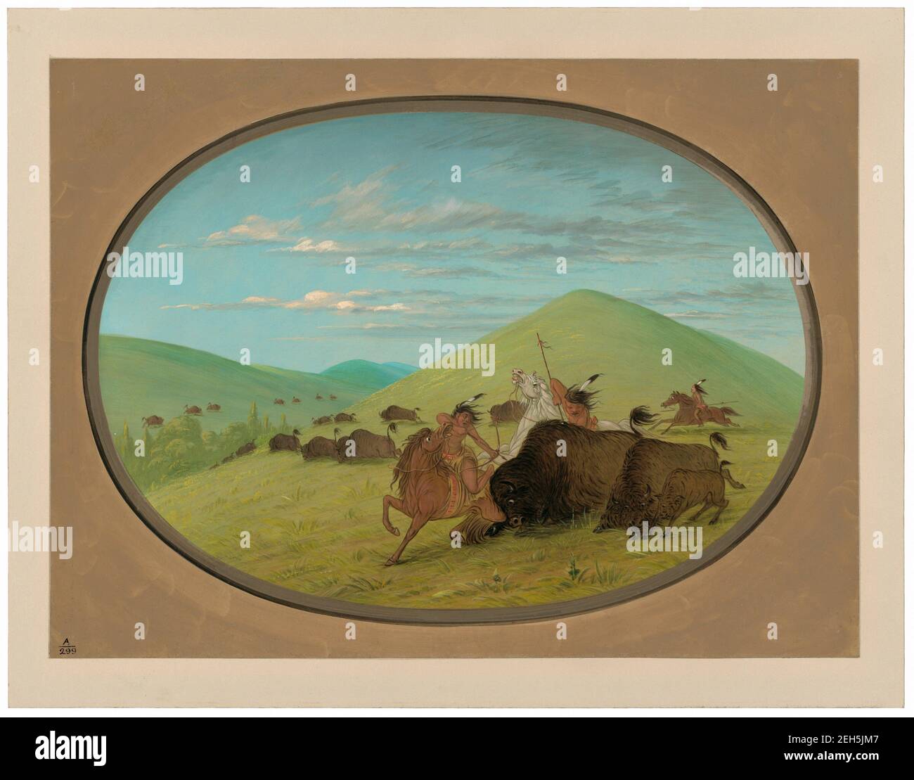 Buffalo chase george catlin hi-res stock photography and images - Alamy
