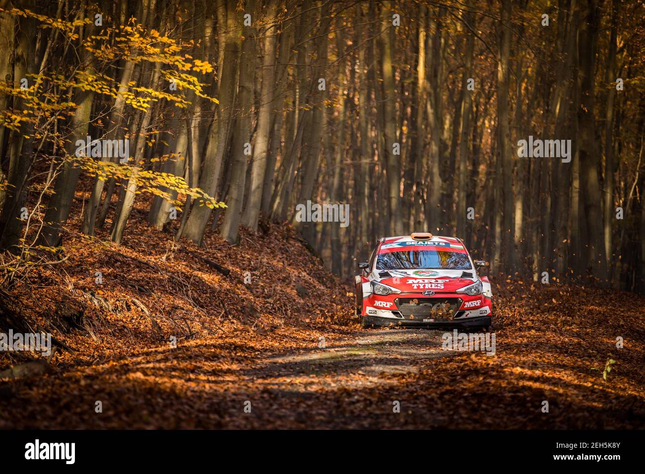 Mrf rally team hi-res stock photography and images - Alamy