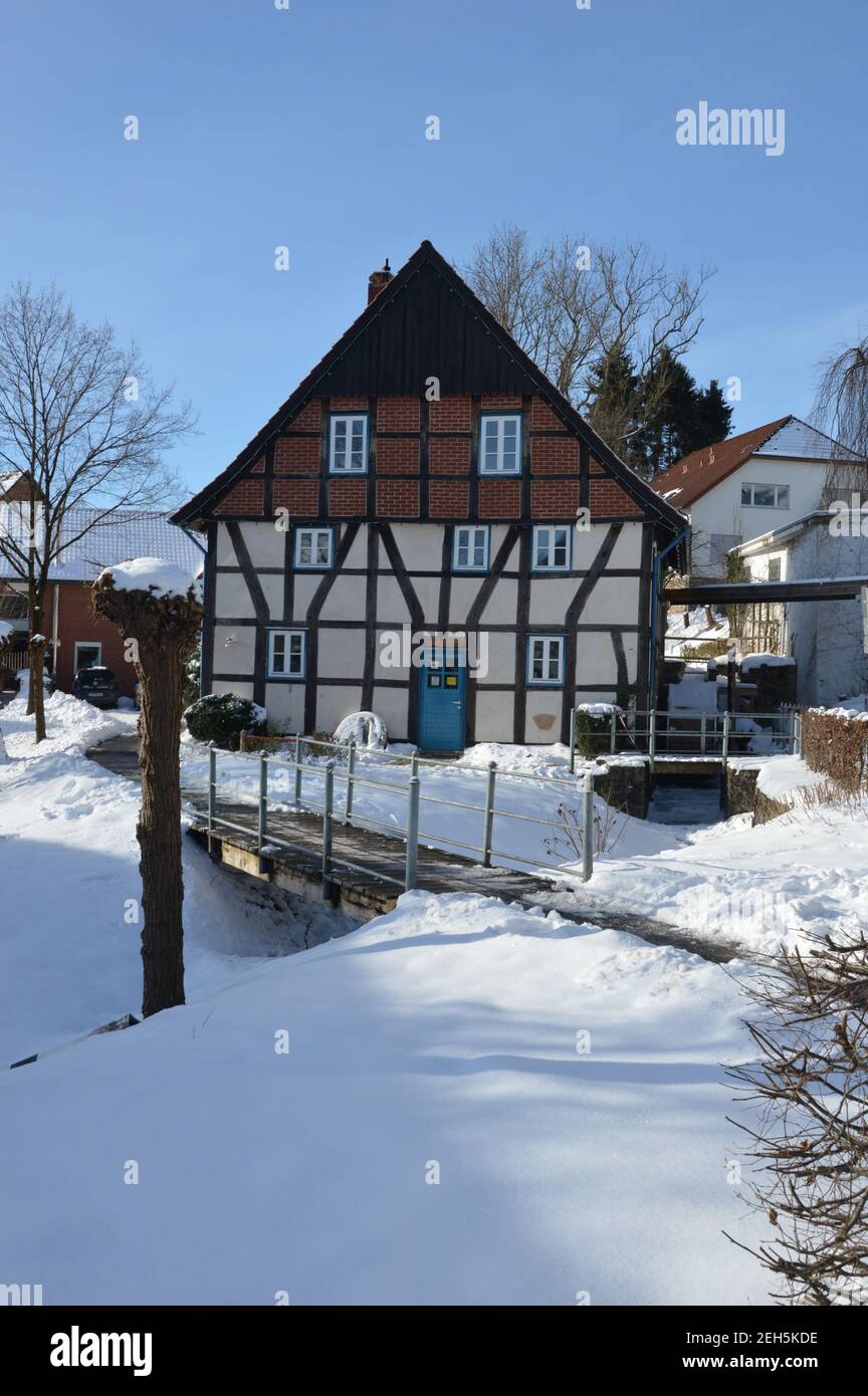 The library in Kalletal-Hohenhausen, Germany Stock Photo - Alamy