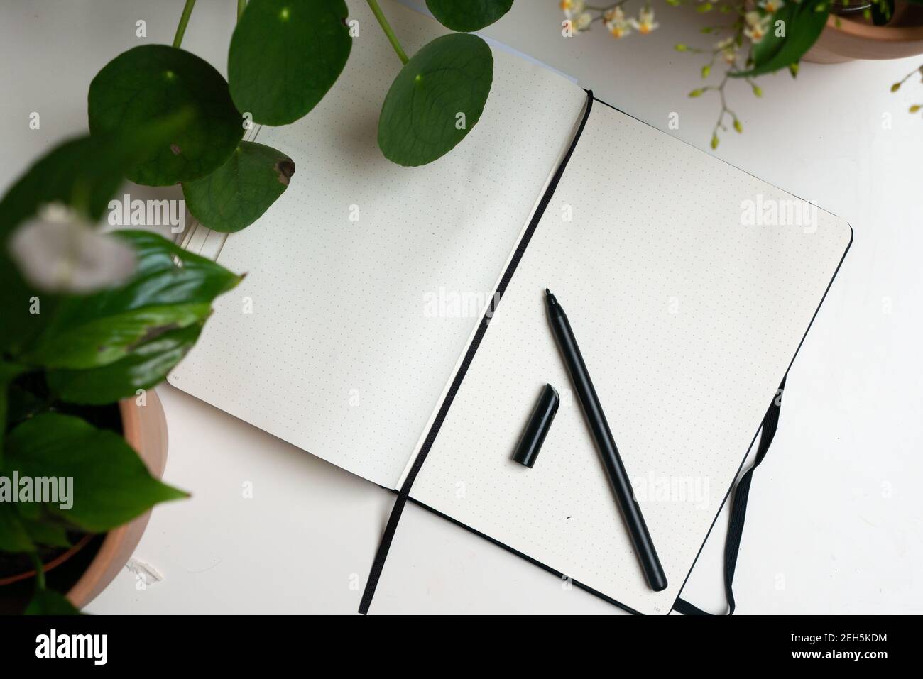 Notebook workplace flat lay white home office workplace green potted ...