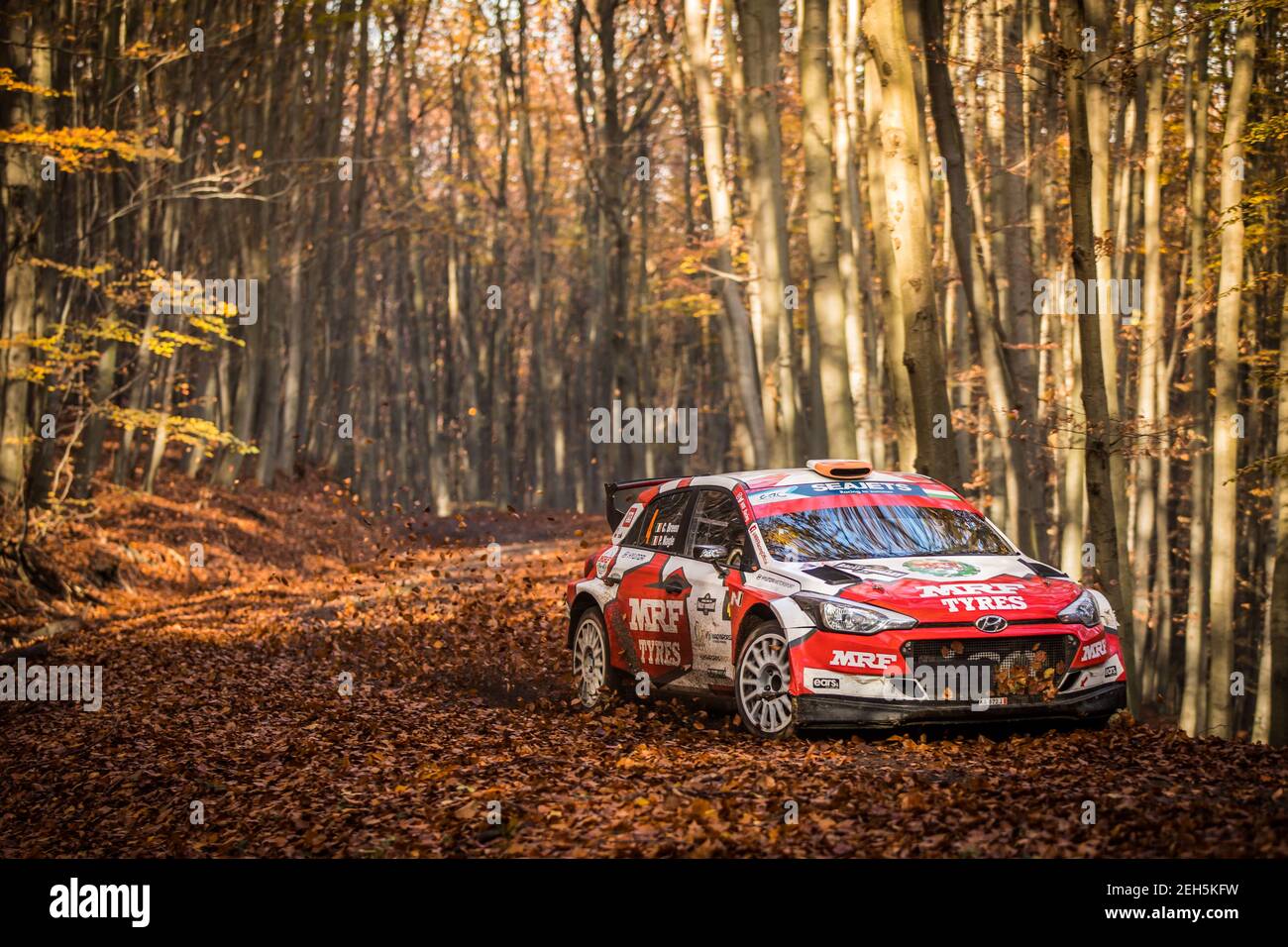Mrf rally team hi-res stock photography and images - Alamy