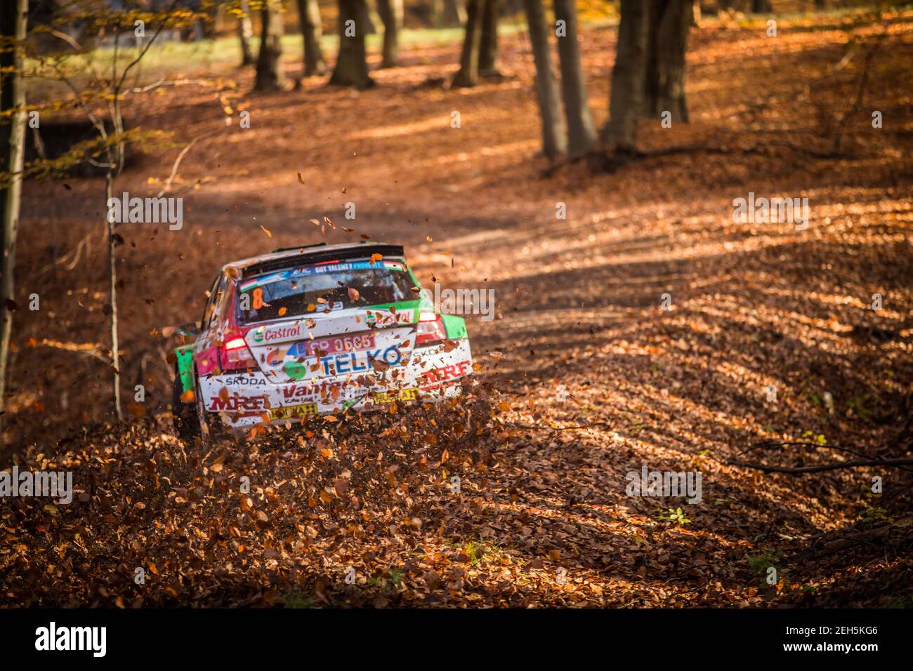 Mrf rally team hi-res stock photography and images - Alamy