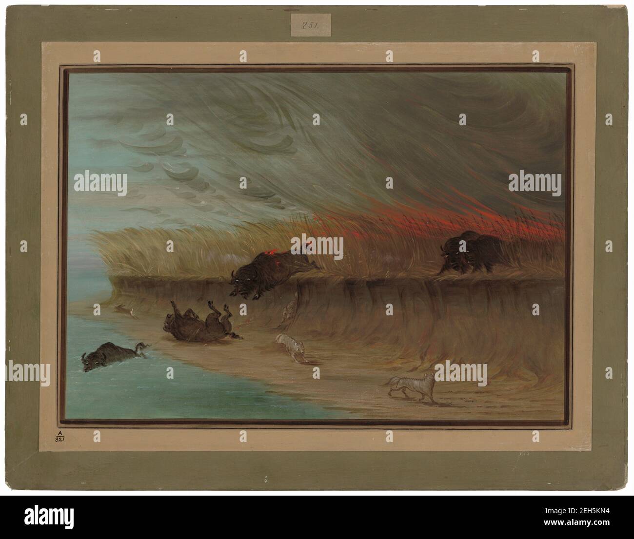 Prairie buffalo america Cut Out Stock Images & Pictures - Alamy