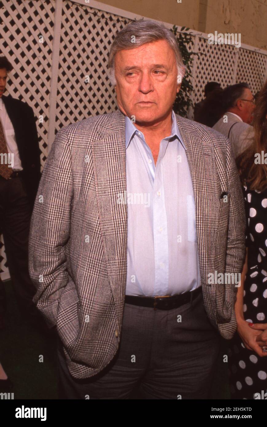 Rod Steiger 1991 Credit: Ralph Dominguez/MediaPunch Stock Photo - Alamy