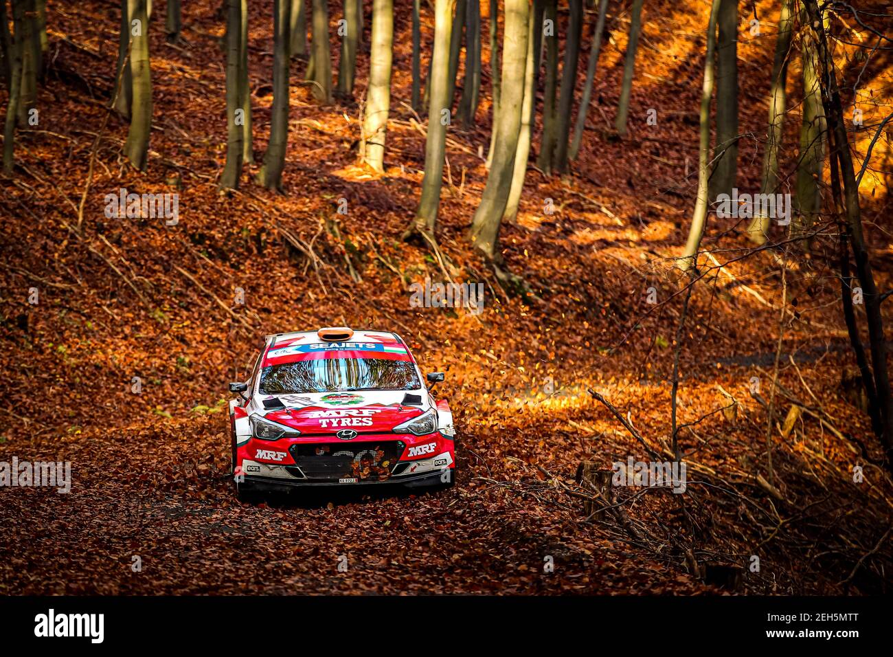 Mrf rally team hi-res stock photography and images - Alamy