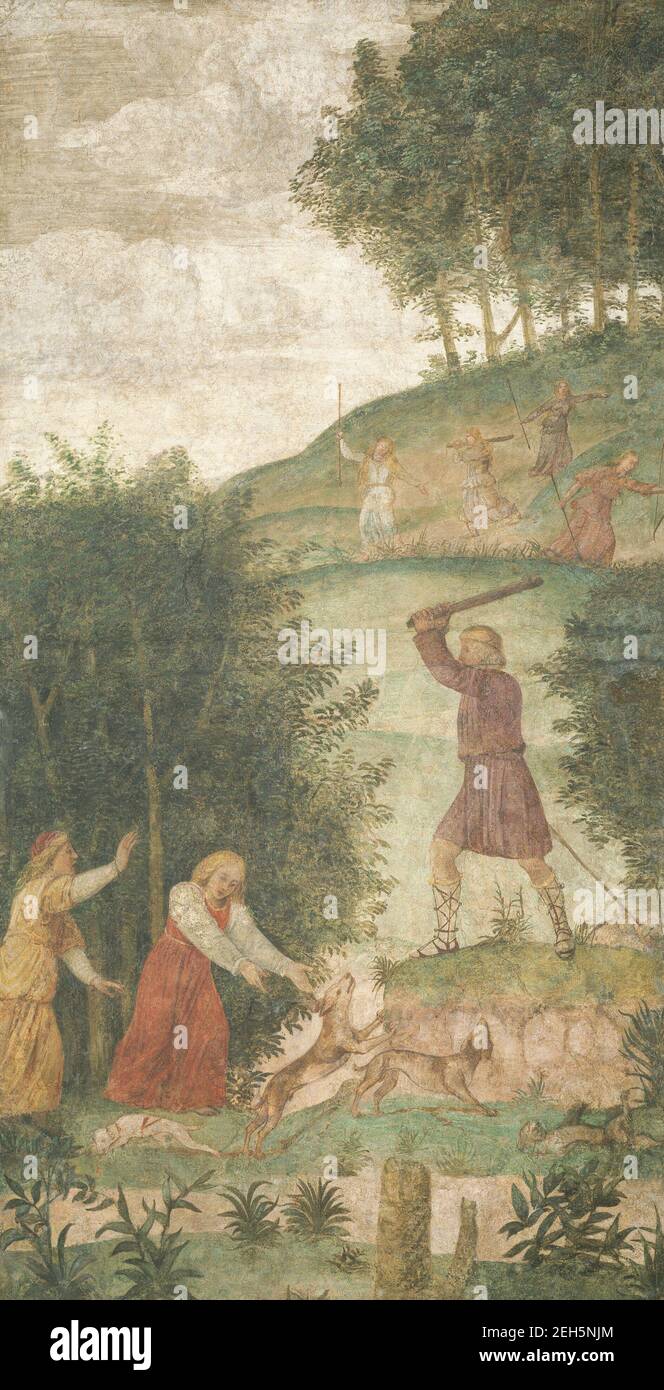 Cephalus dog hi-res stock photography and images - Alamy