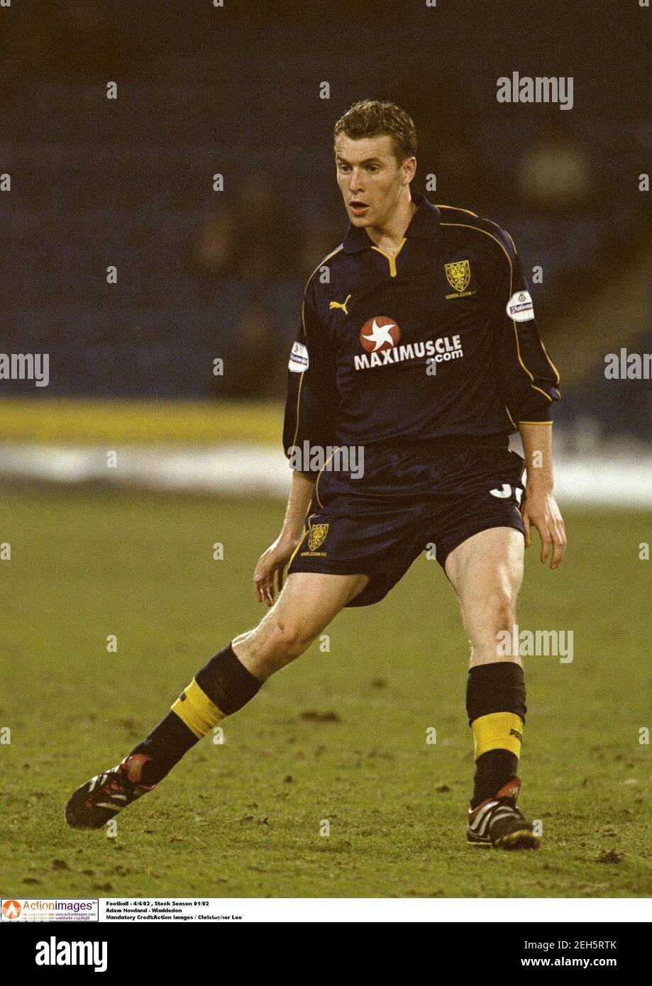 Adam nowland hi-res stock photography and images - Alamy