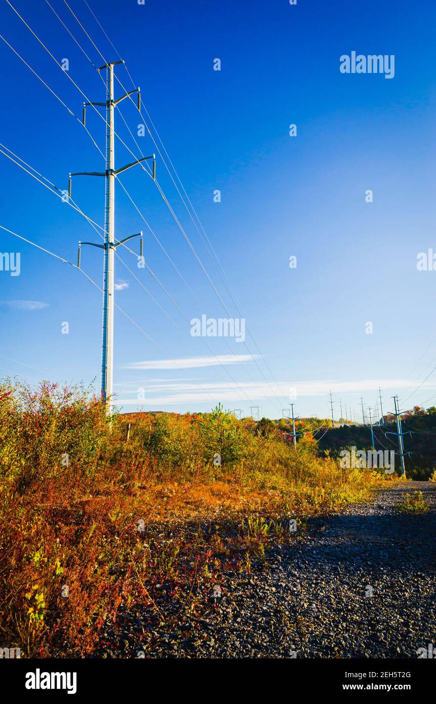 High tension power lines in the early morning with a bright blue sky ...