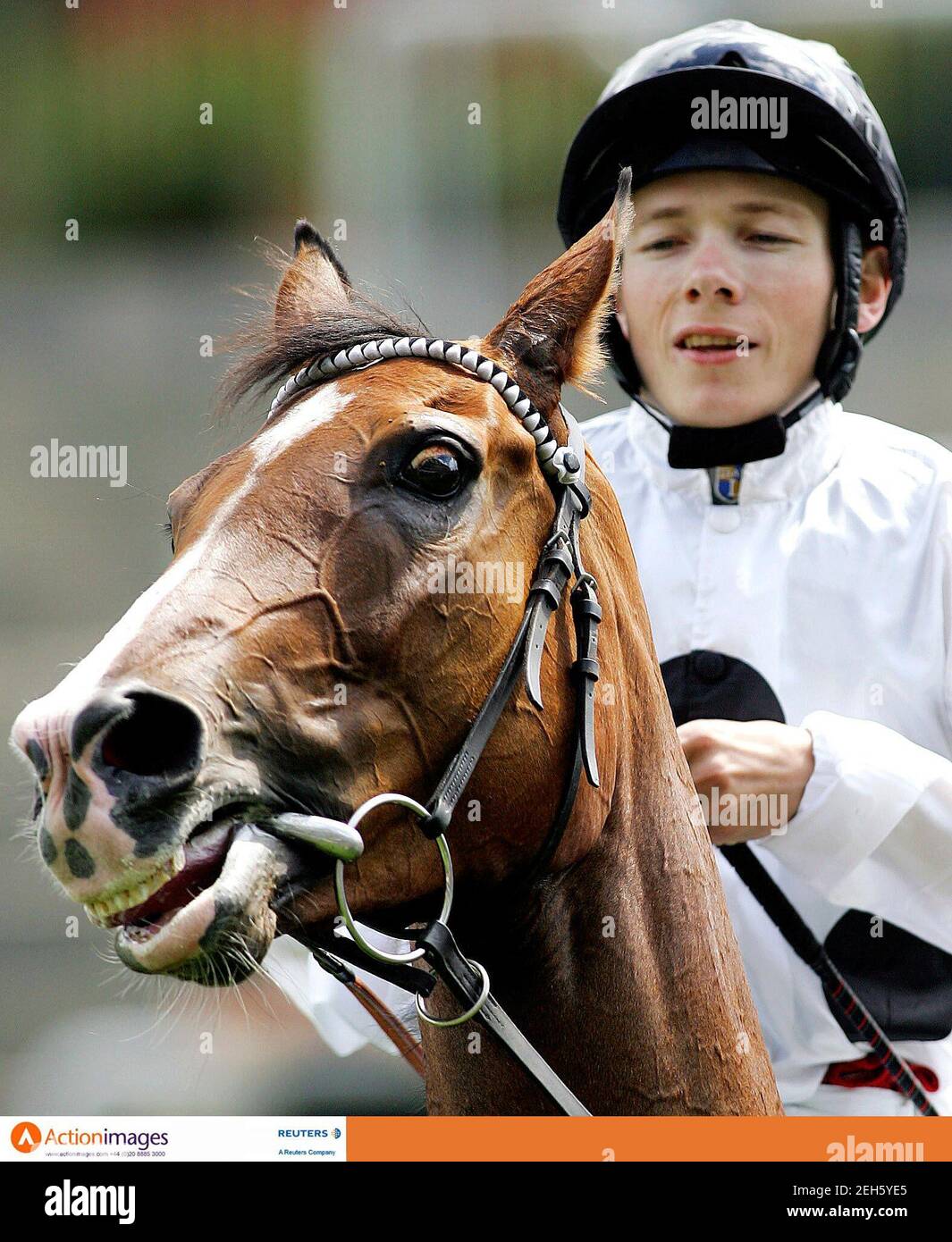 Soviet song horse hi-res stock photography and images - Alamy