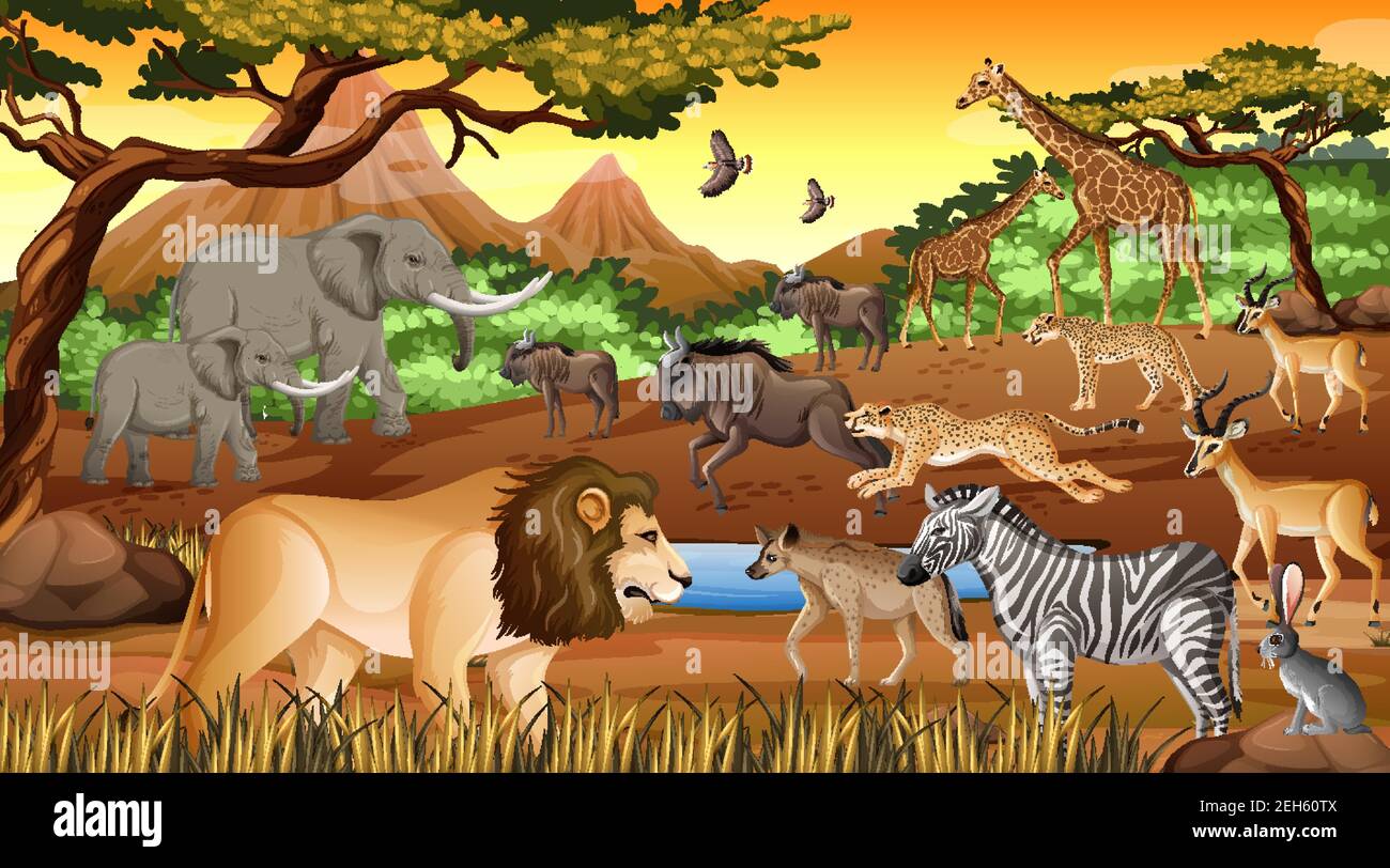 Group of Wild African Animal in the forest scene illustration Stock ...