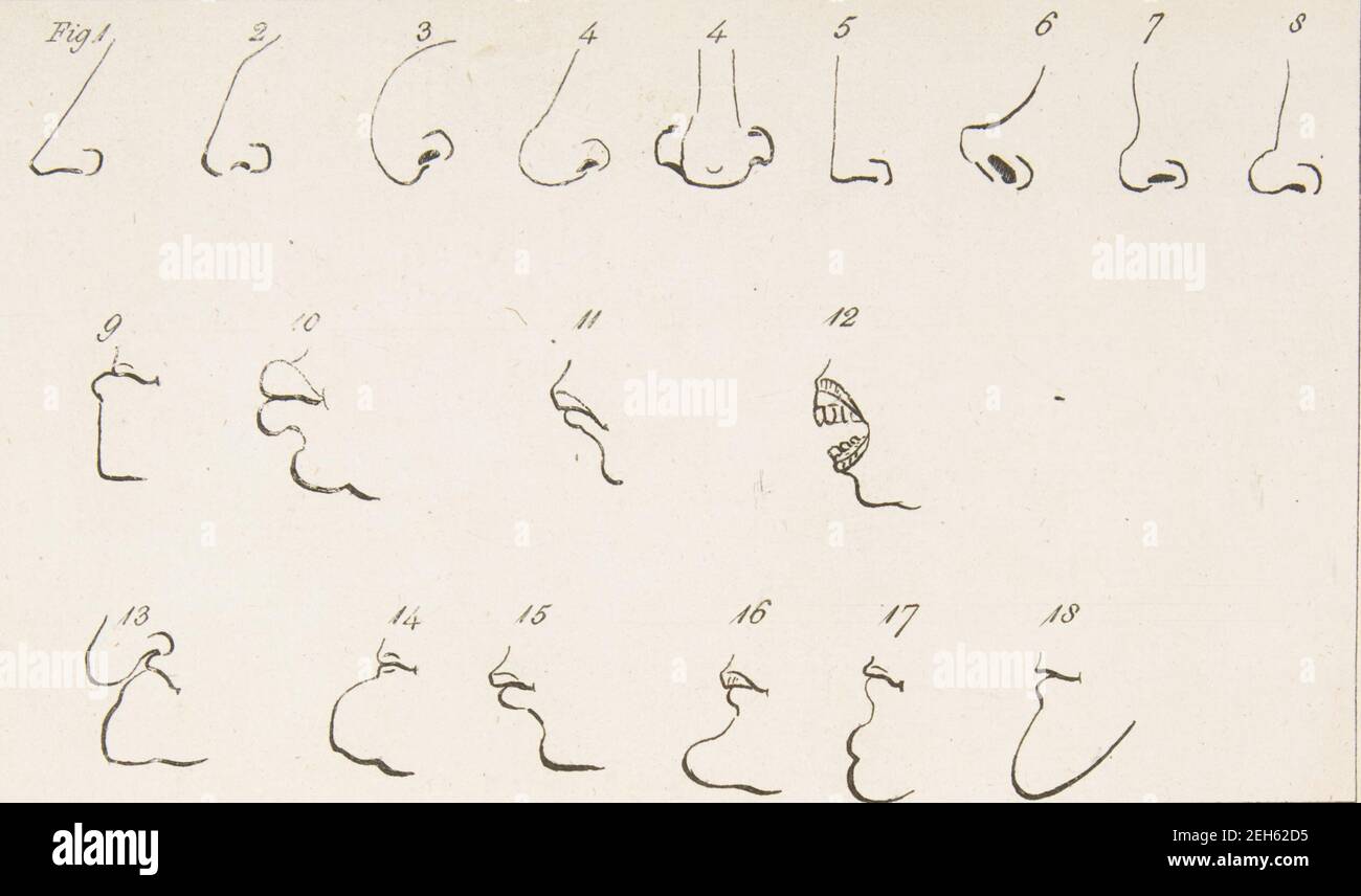 Rules for drawing caricatures hi-res stock photography and images - Alamy