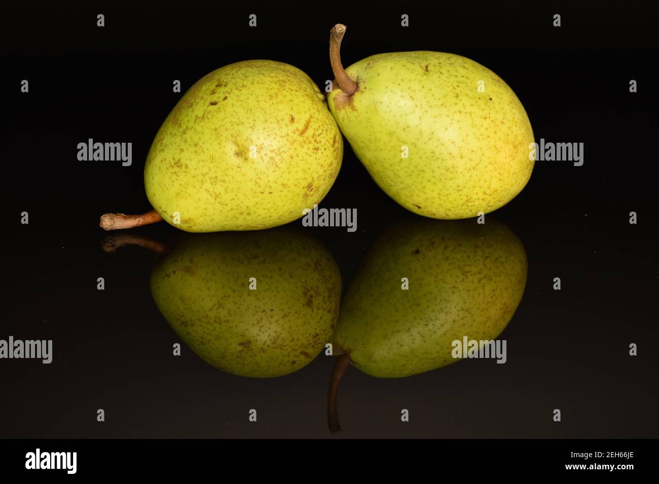 Two whole ripe juicy tasty Lucas pears on a black background Stock ...