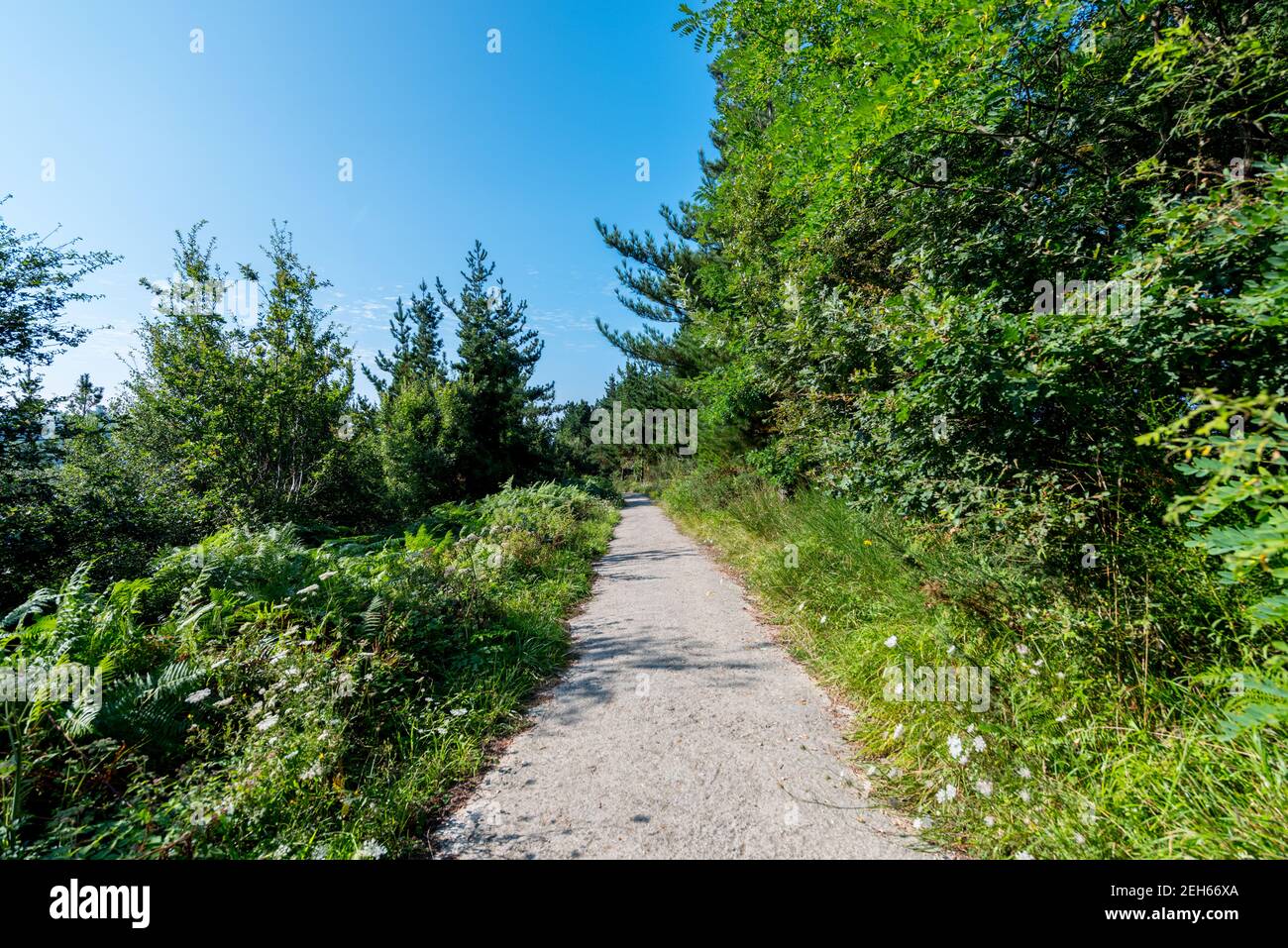 sunny path through basque country Stock Photo - Alamy