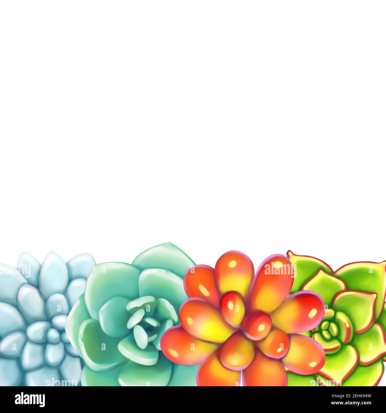 Floral Border. Succulents arranged un a shape of frame Stock Photo - Alamy