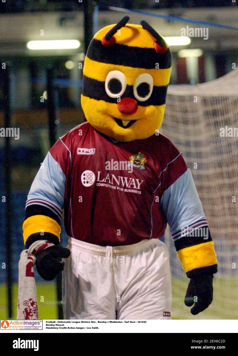Burnley mascot hi-res stock photography and images - Alamy