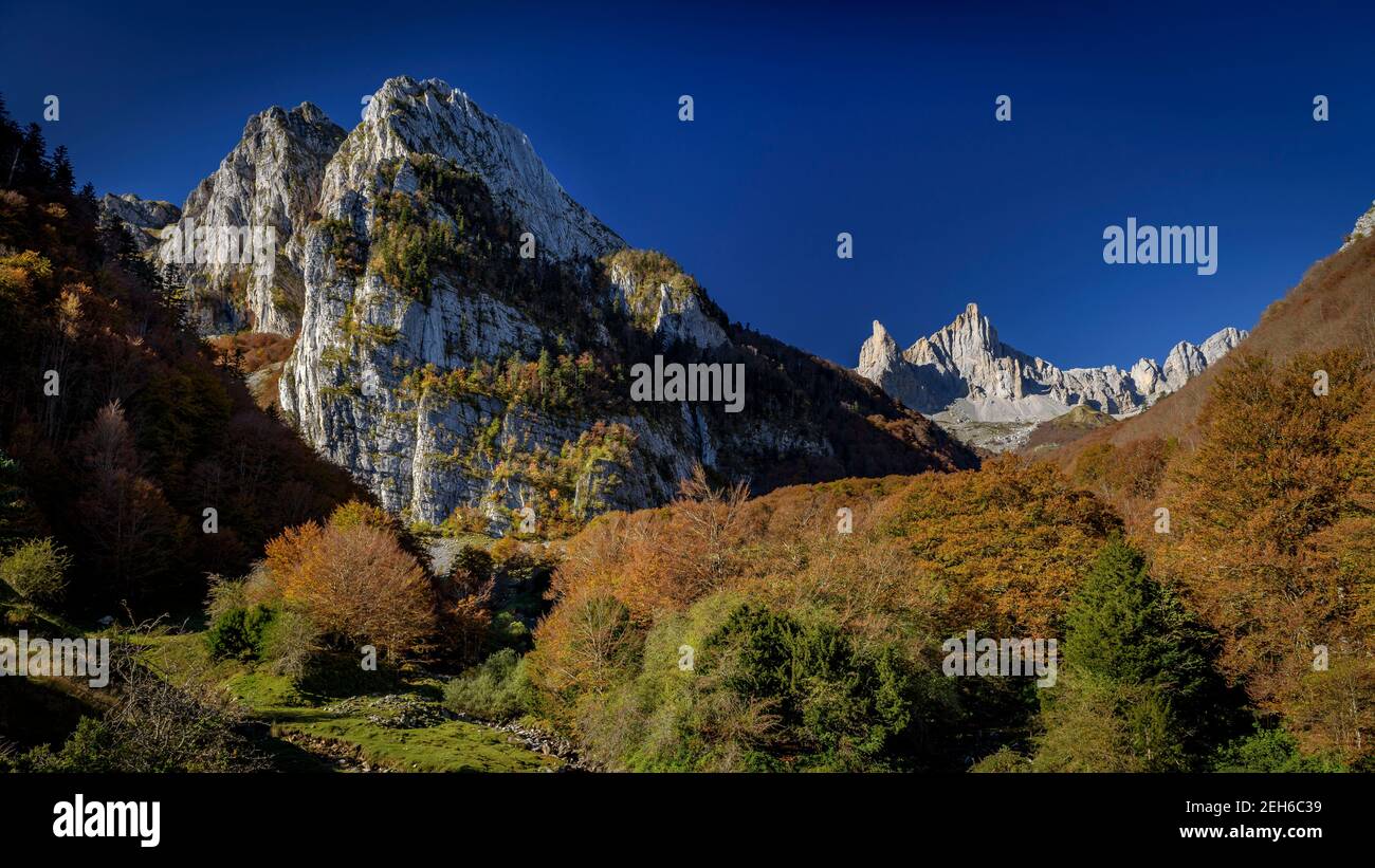Viajar en el circo hi-res stock photography and images - Alamy