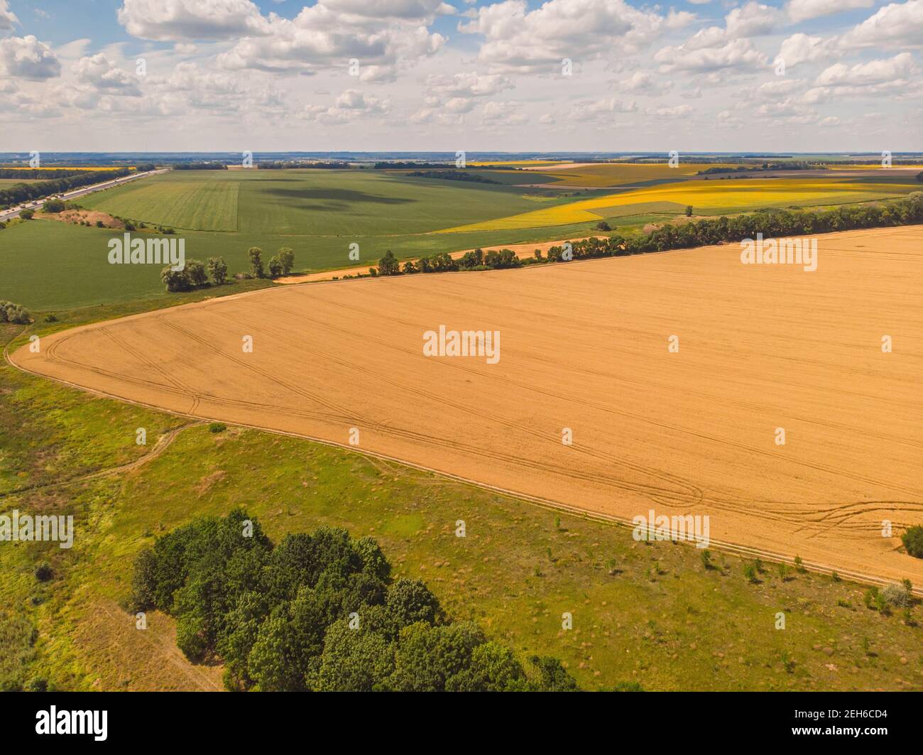 Colorful farm fields from above. Sunflower, wheat, rye and corn ...