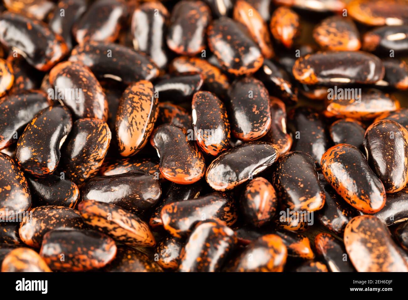 Scarlet runner beans hi-res stock photography and images - Alamy