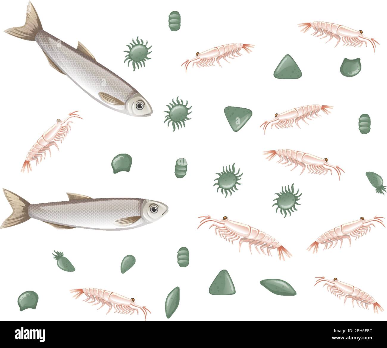 Fish and plankton on white background illustration Stock Vector Image ...