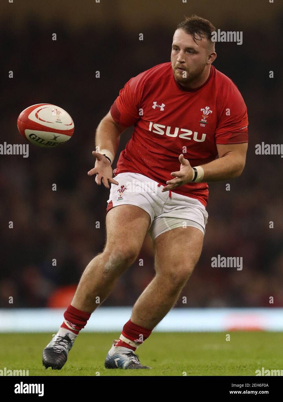 Dillon lewis rugby hi-res stock photography and images - Alamy