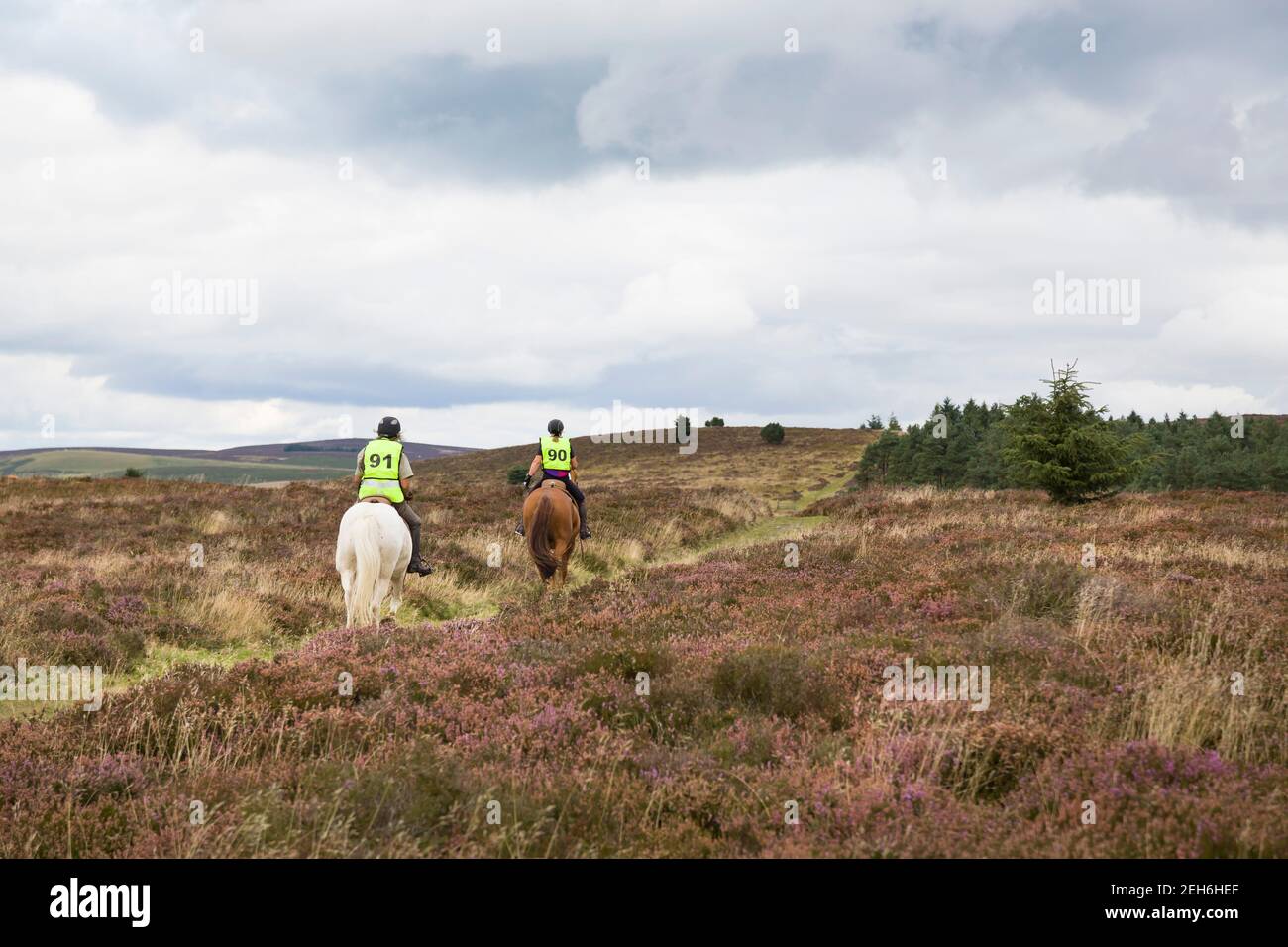 Two people horseback riding hi-res stock photography and images - Alamy