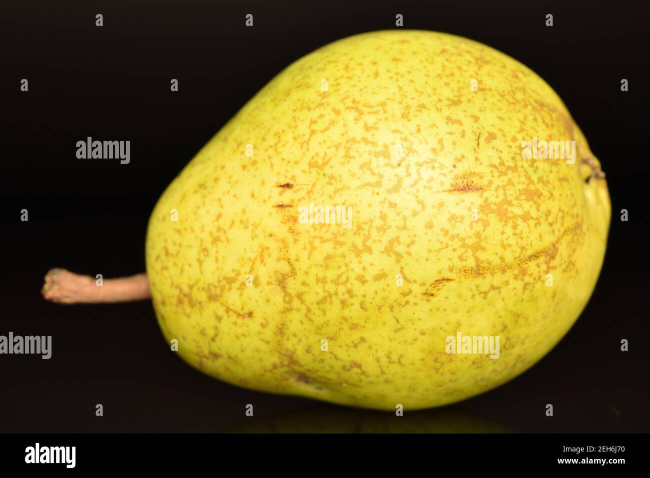 One whole ripe juicy tasty pear Lucas on a black background Stock Photo ...