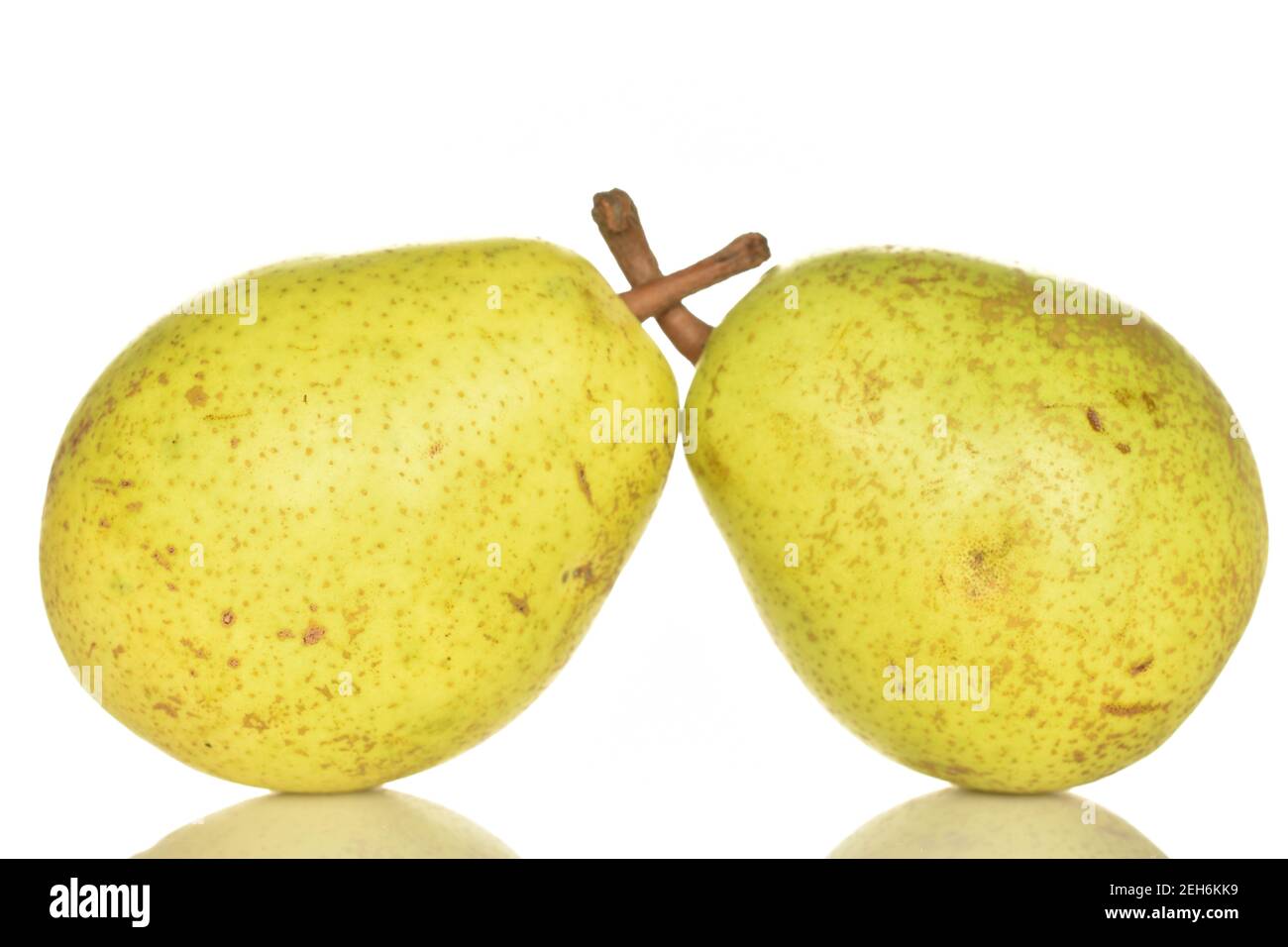 Two whole ripe juicy tasty Lucas pears on a white background Stock ...