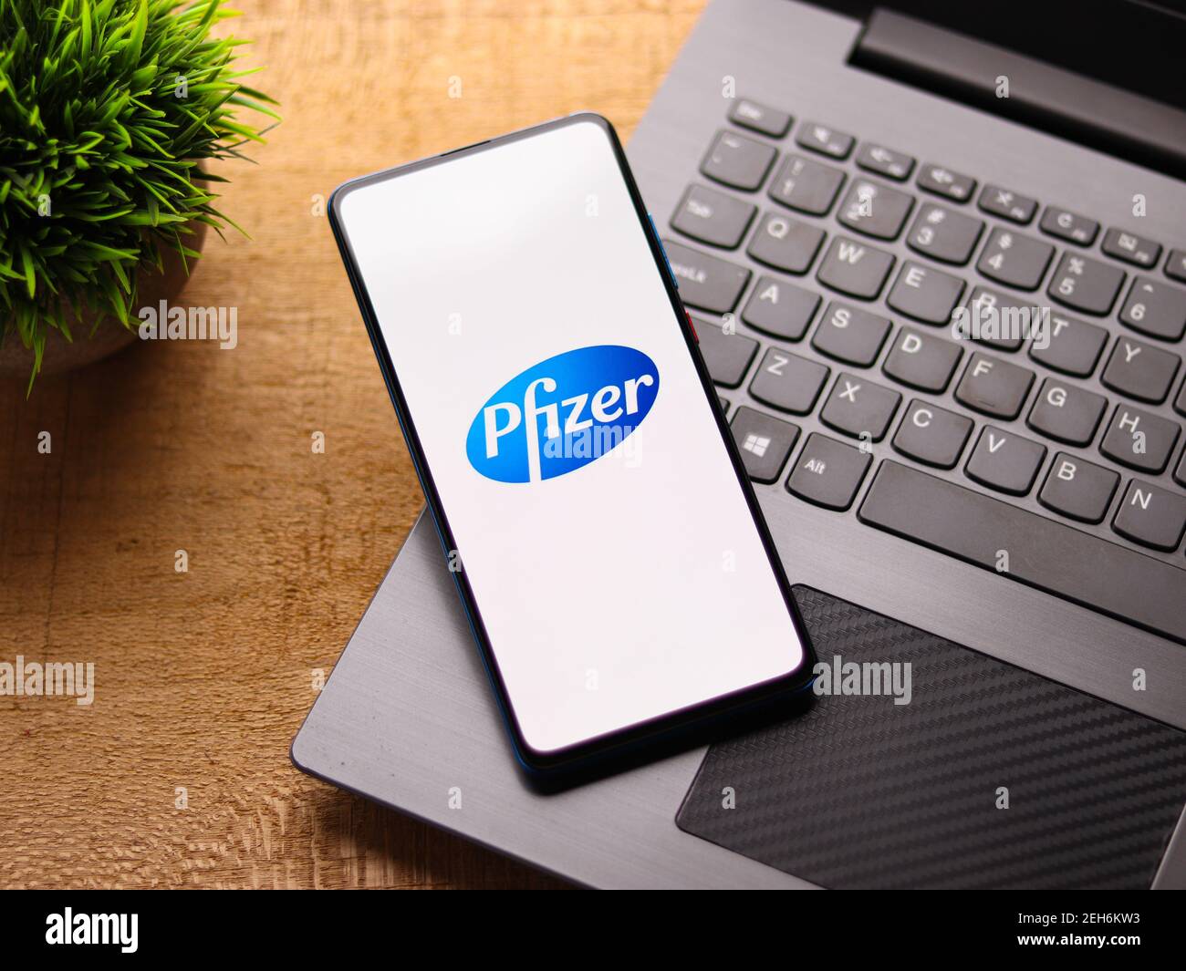 Assam, india - February 19, 2021 : Pfizer logo on phone screen stock ...