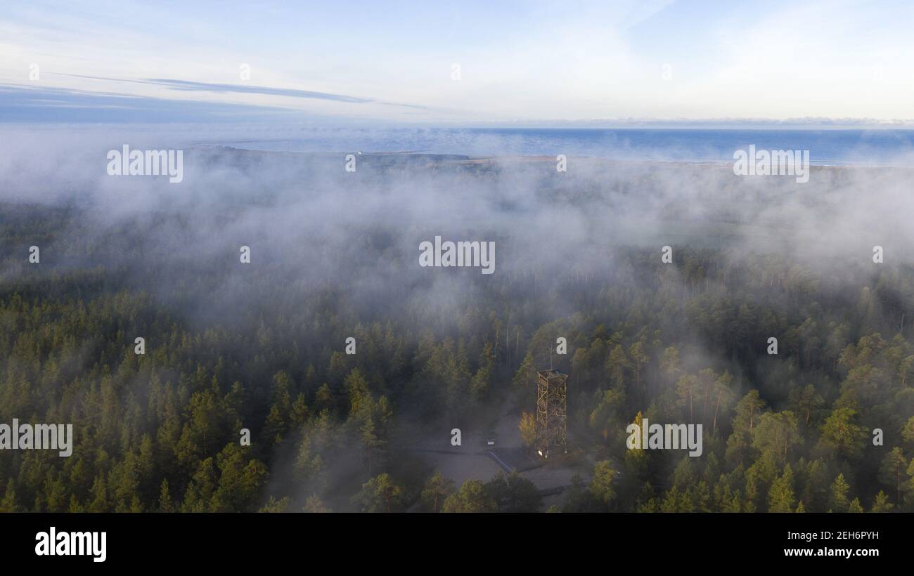 Aerial shot of beautiful Karula National Park full of lakes in Estonia ...