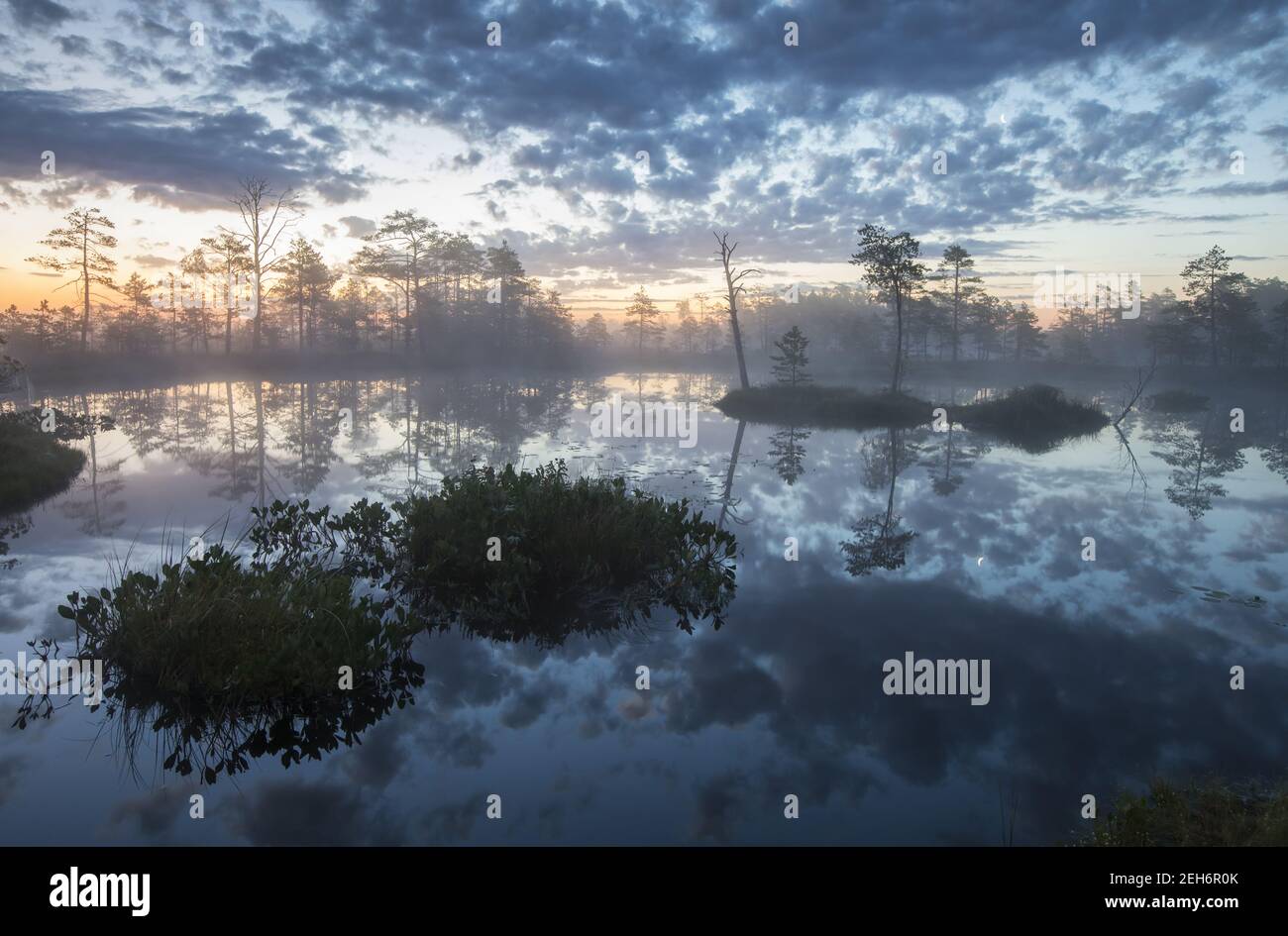 Mist-clad lake with the forest reflections in the water in Karula ...