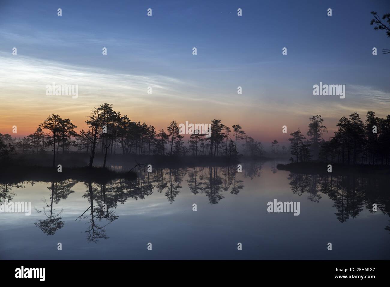 Mist-clad lake with the forest reflections in the water in Karula ...