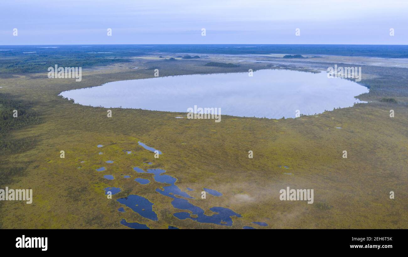 Aerial shot of beautiful Karula National Park full of lakes in Estonia ...