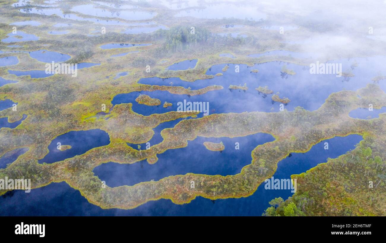 Aerial shot of beautiful Karula National Park full of lakes in Estonia ...
