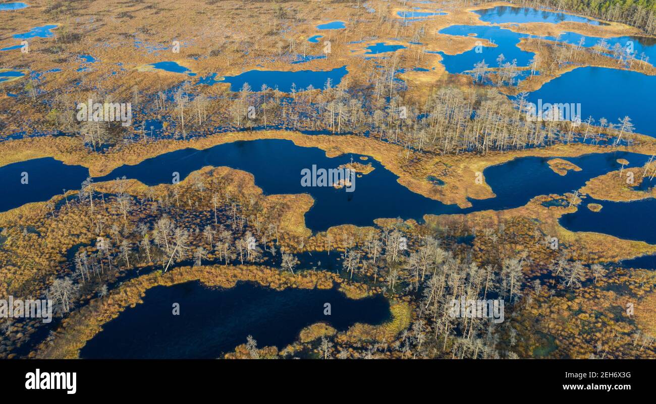 Karula national park hi-res stock photography and images - Alamy