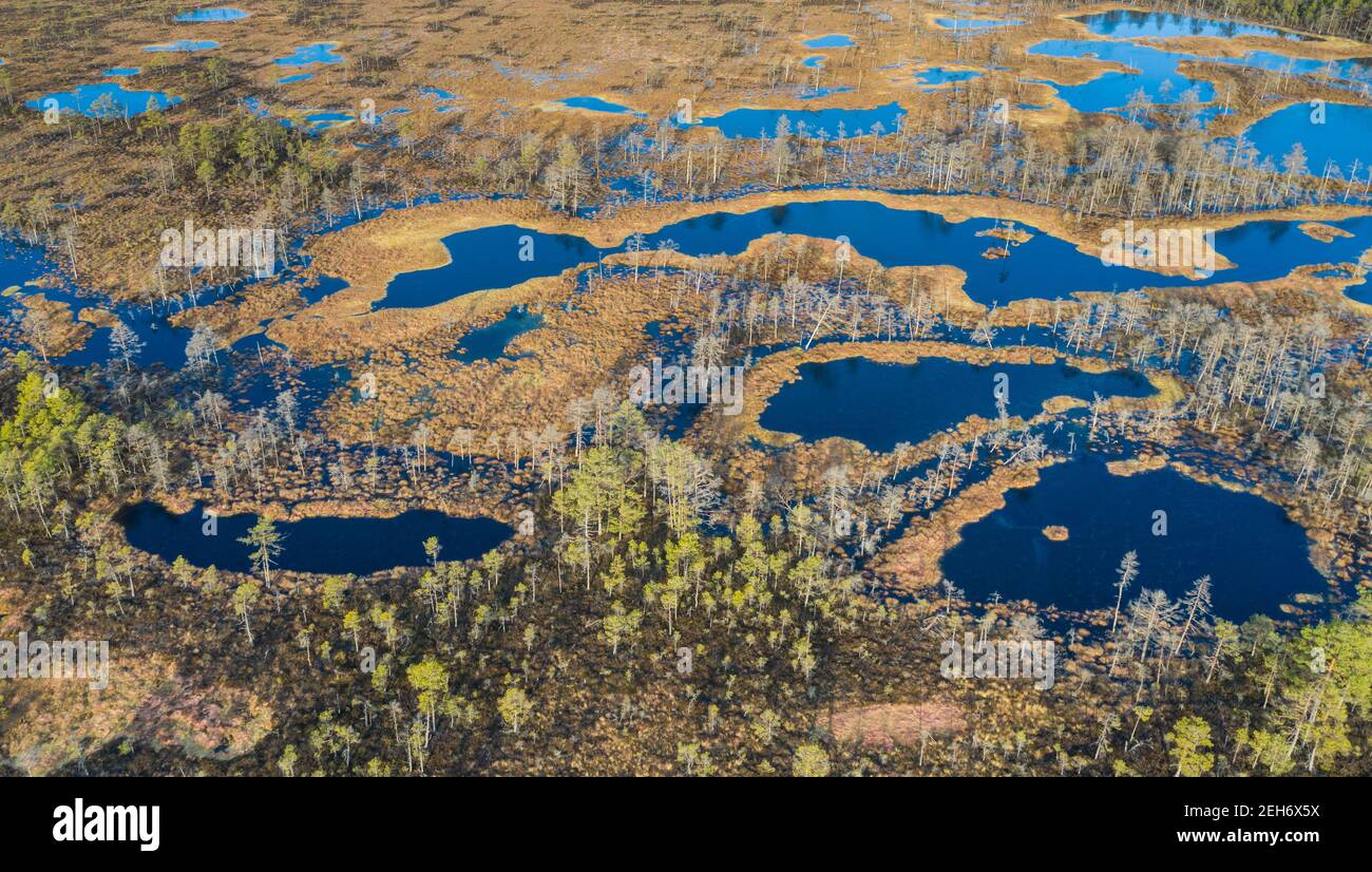 Aerial shot of beautiful Karula National Park full of lakes in Estonia ...