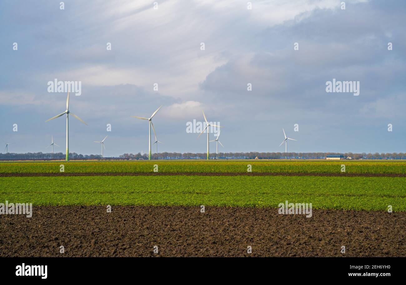 Panoramic landscape with modern windmills Stock Photo - Alamy