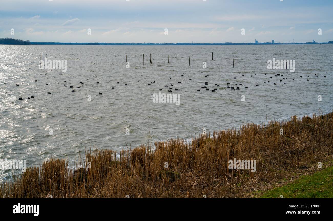 Panoramic view of a lake hi-res stock photography and images - Alamy