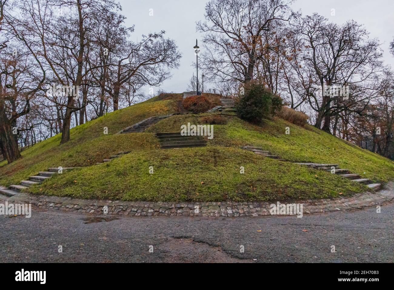 Green grass and bushes over small hill in park with stairs around Stock ...