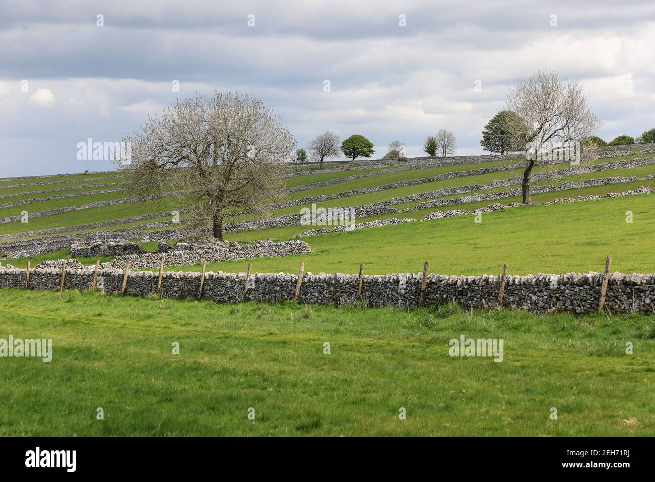 Dry stone walls in fields, Sheldon, Derbyshire, England, UK Stock Photo ...