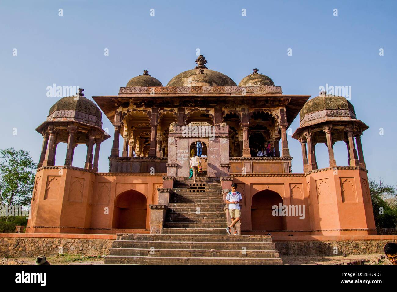 Ranthambore tiger temple hi-res stock photography and images - Alamy