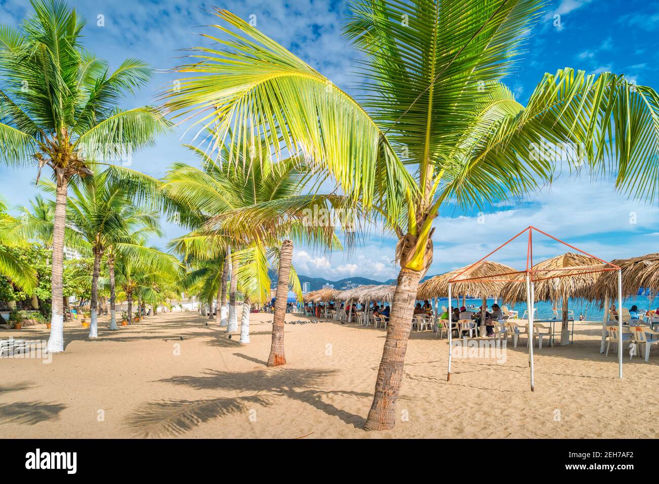Palm tree lined beach in Acapulco, Guerrero, Mexico Stock Photo - Alamy