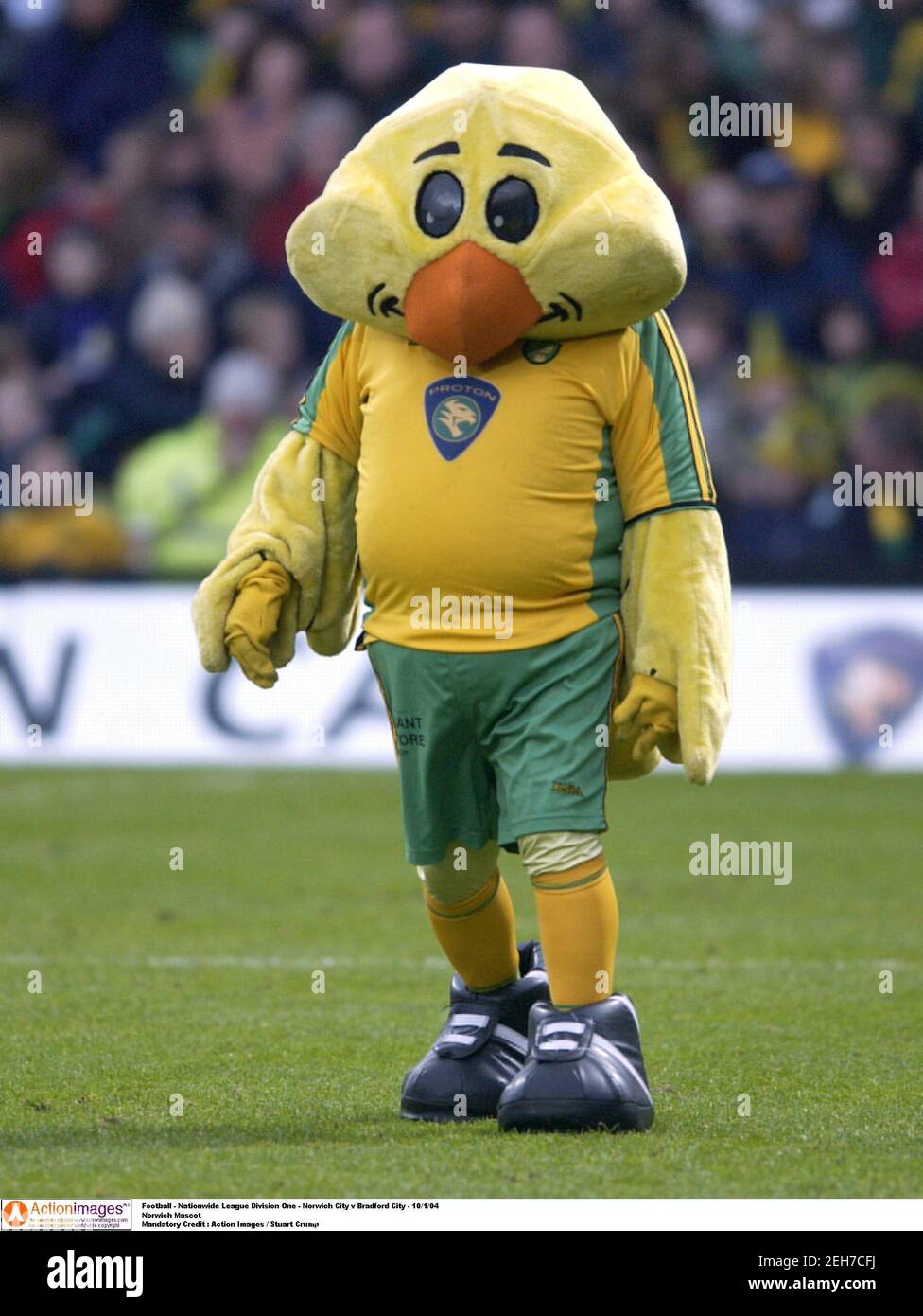 Norwich City Mascot High Resolution Stock Photography and Images - Alamy