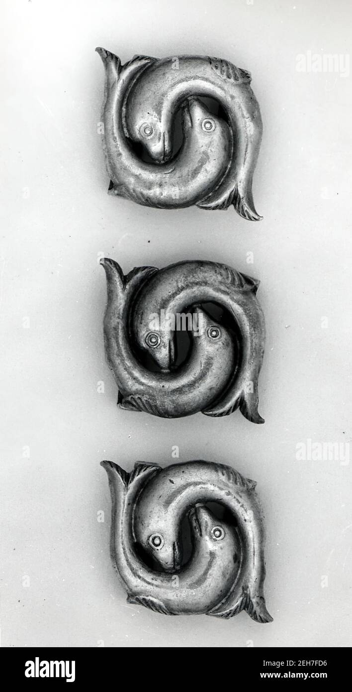 Bridle fish hi-res stock photography and images - Alamy