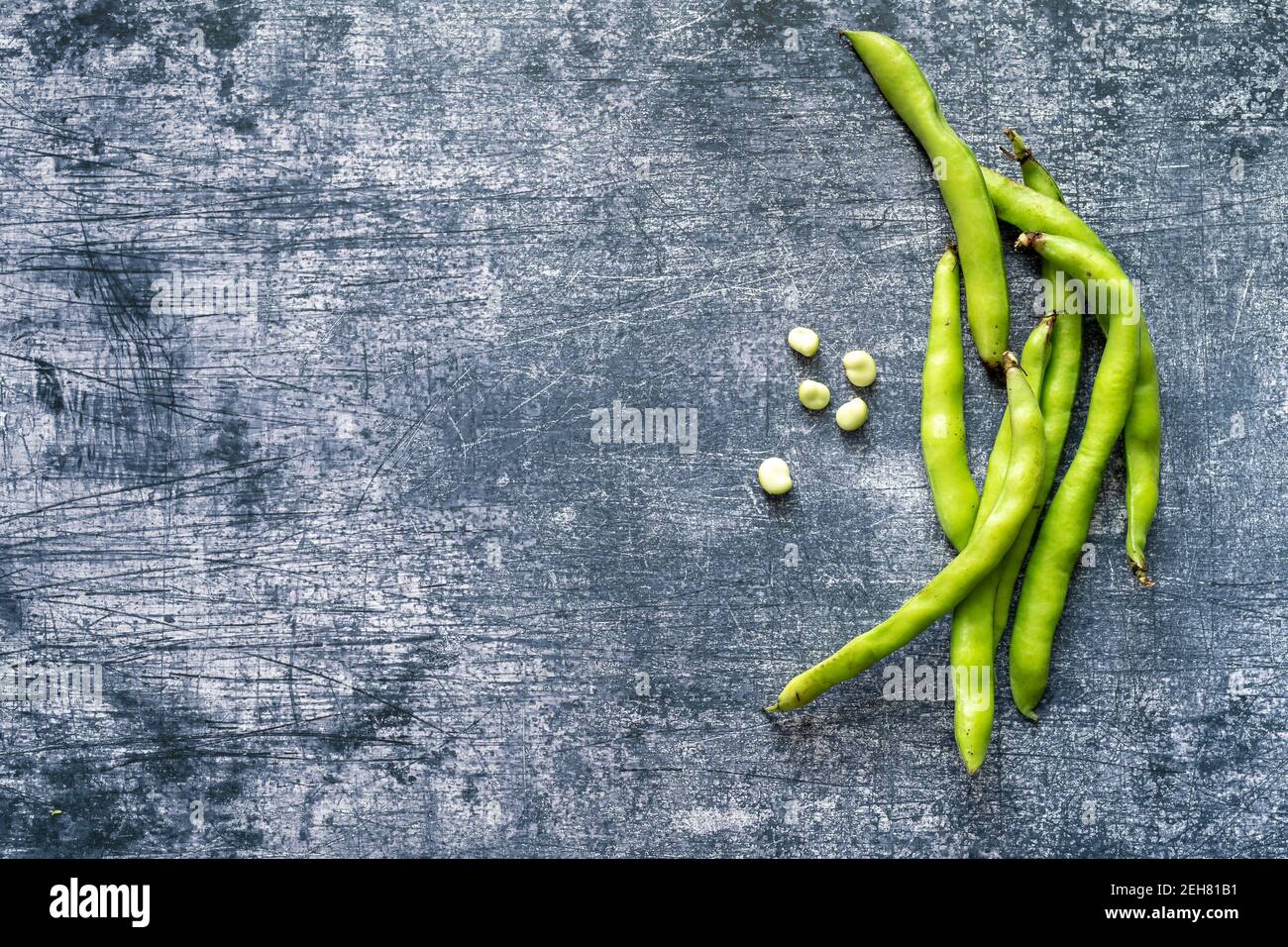 Freshly picked broad beans, Vicia Faba also known as field beans, fava ...
