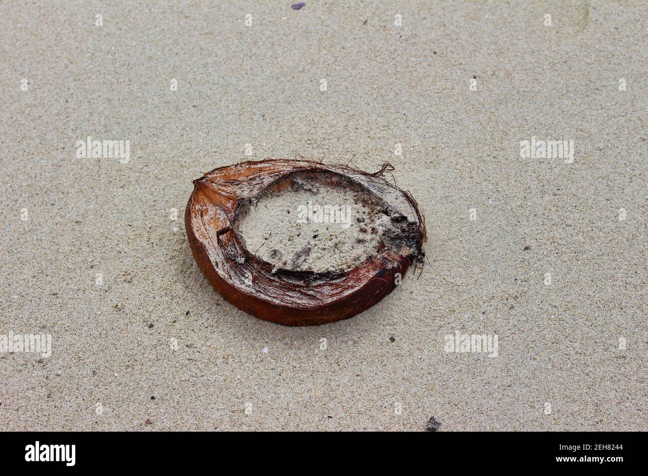 Coconut in sand hi-res stock photography and images - Alamy