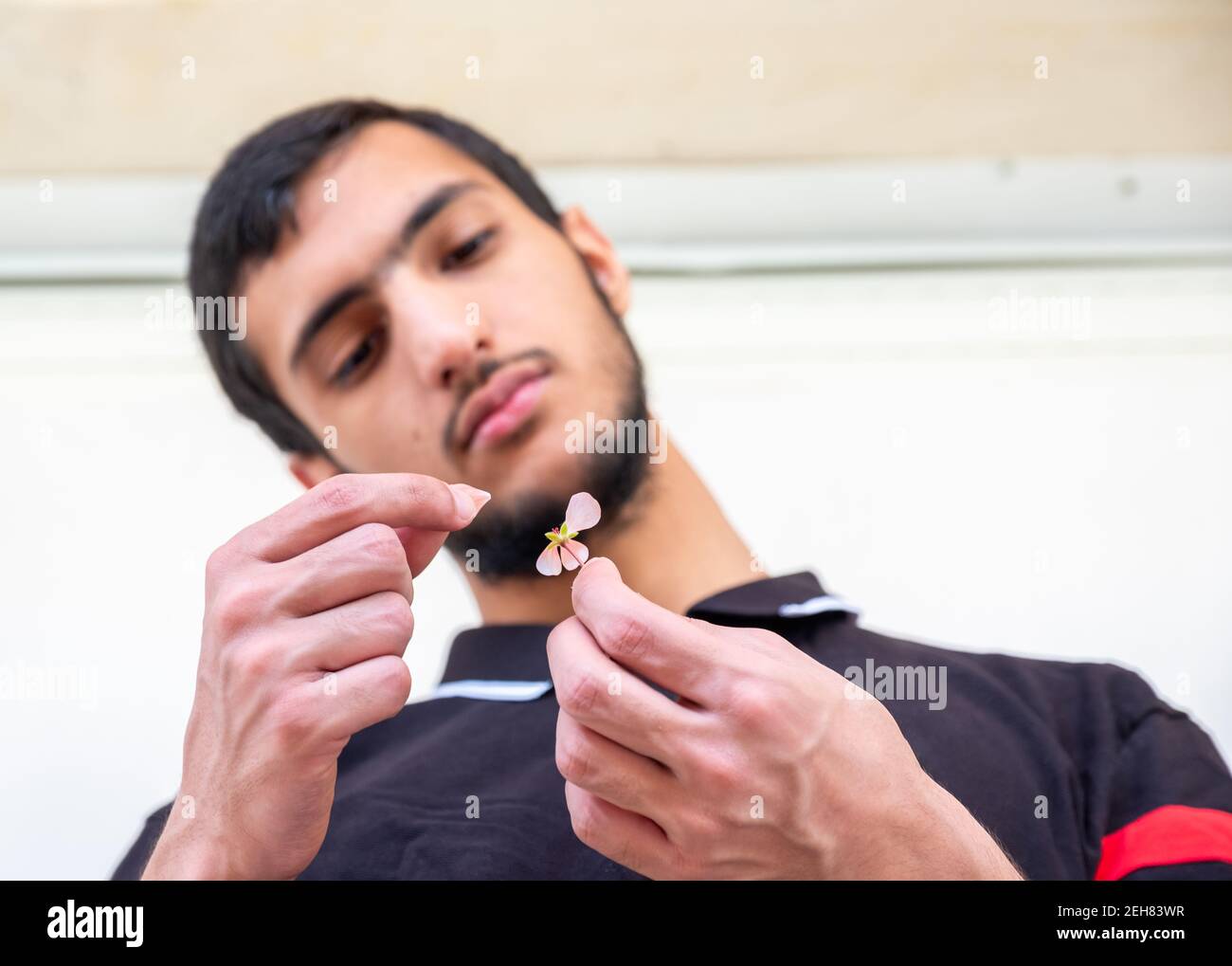 Arabic boy holding flower in his hand Stock Photo - Alamy